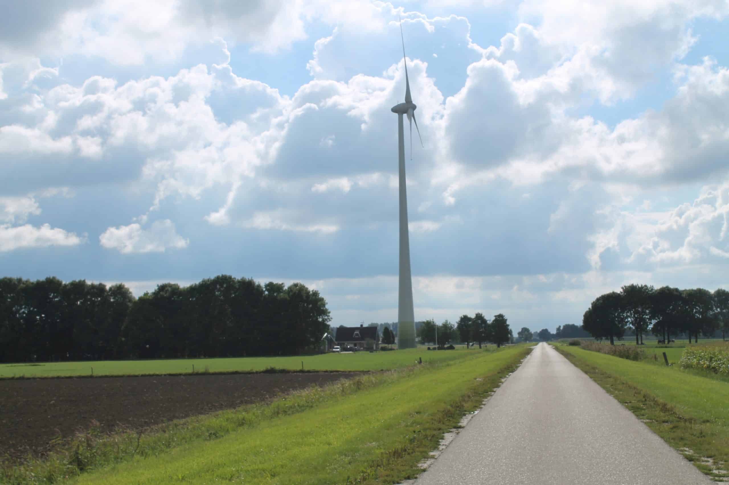 Windmolens en bomen planten | Wing