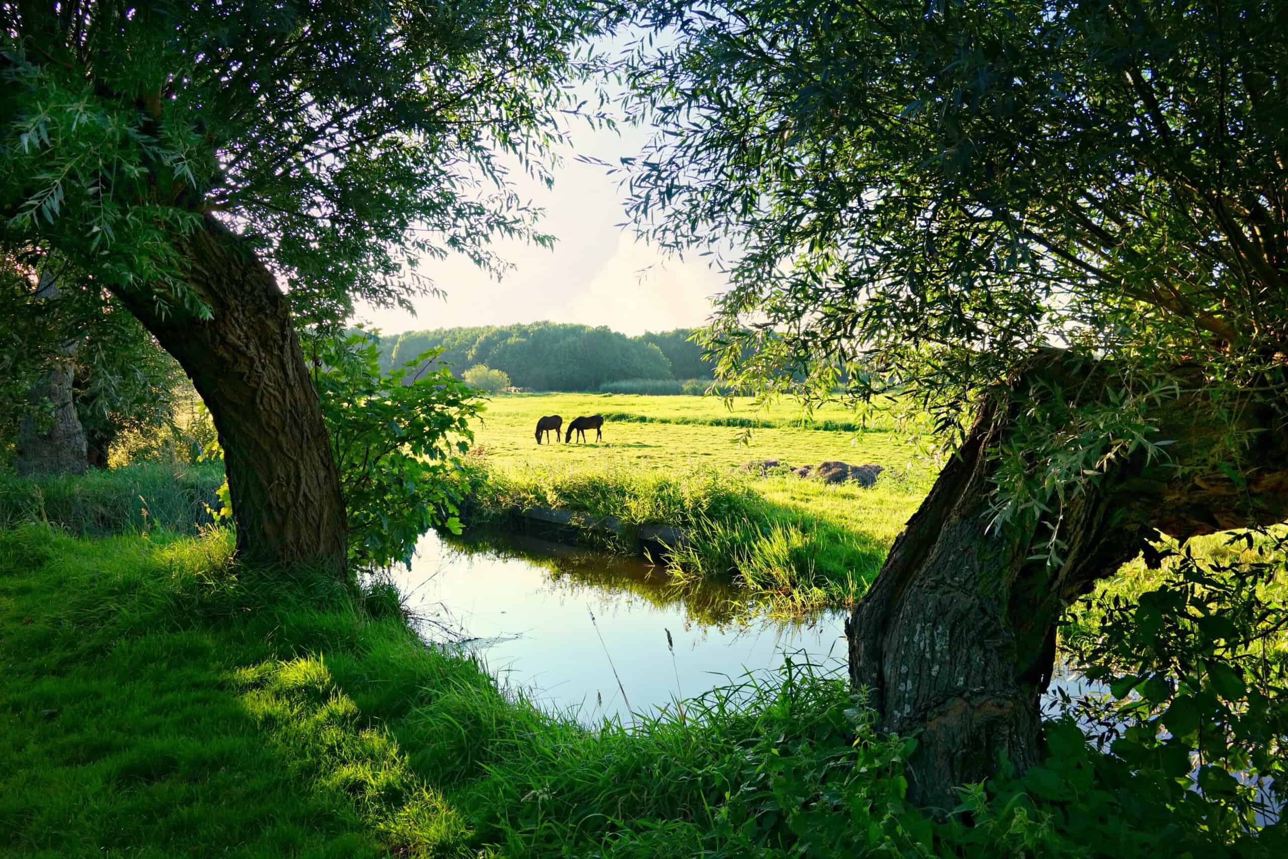 Samen leren in het Programma Natuur | Wing Samen leren in het Programma Natuur | Wing